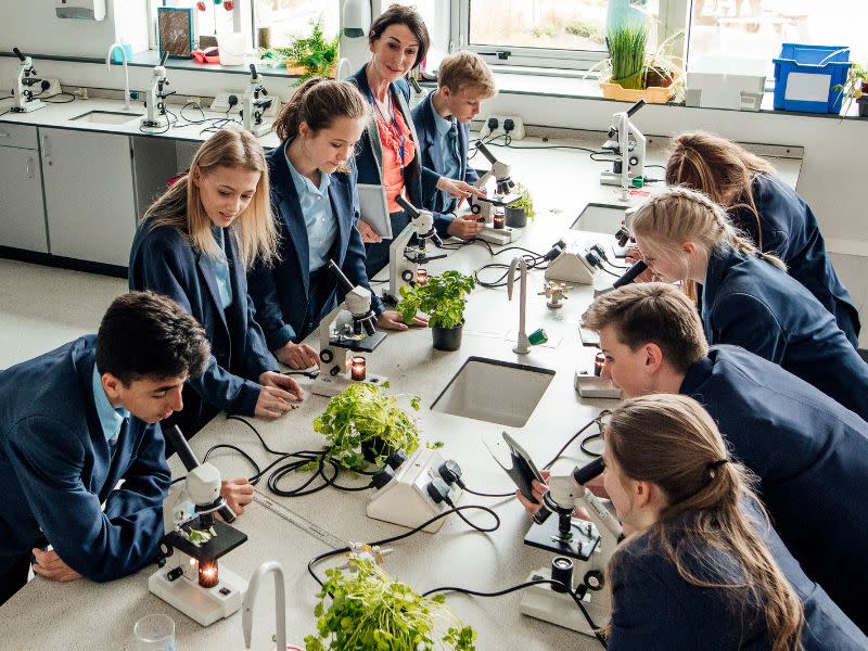 Students in science class