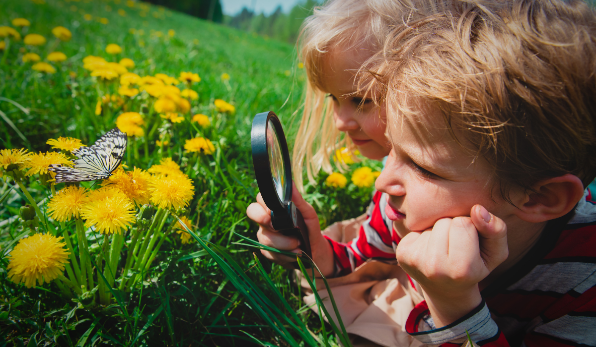 Ideas for how to explore this topic with your class and explain it in a ...