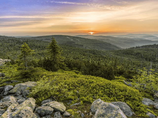 Climate Change Resources