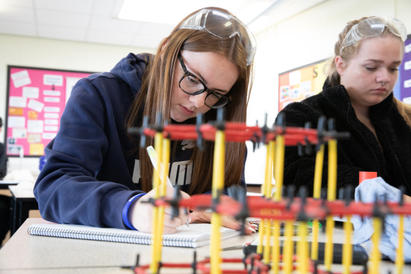 Strengthening practical work in Physics