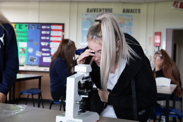 Strengthening practical work in Biology