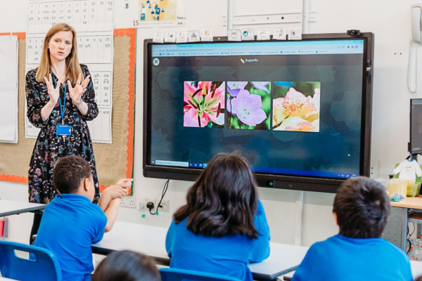 How to use Explorify