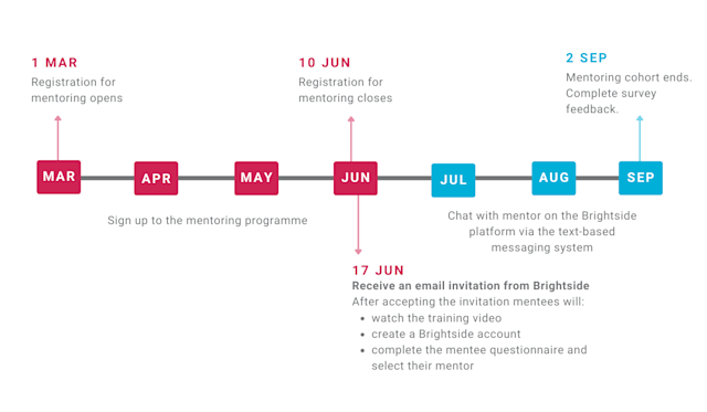 How does the mentoring work?