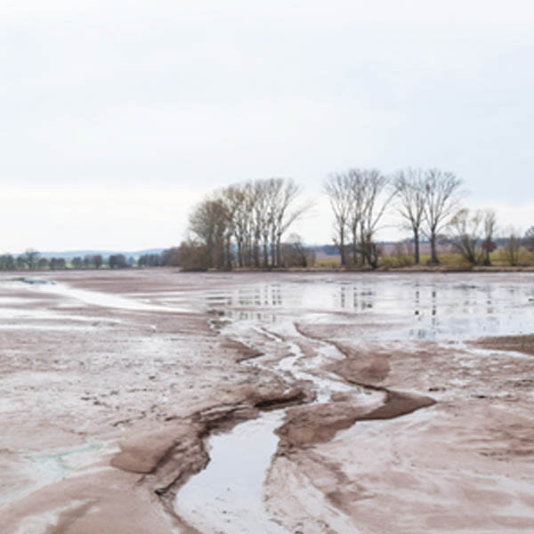Protecting our Planet | STEM Clubs Hour