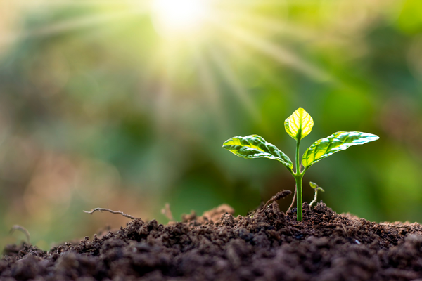 | Resource Collection