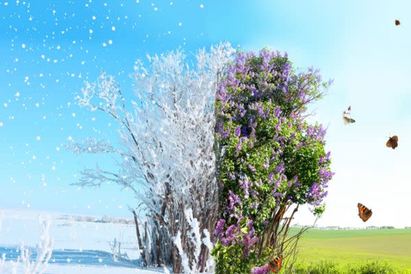 | Resource Collection