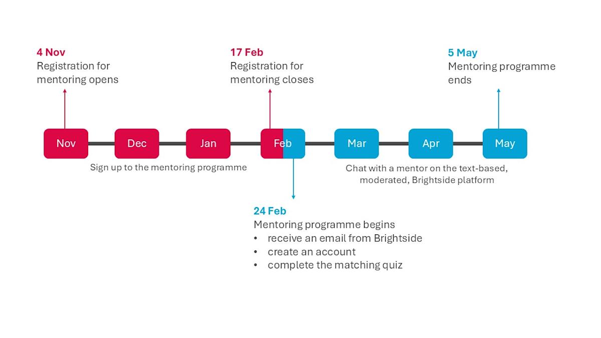 How does the mentoring work?