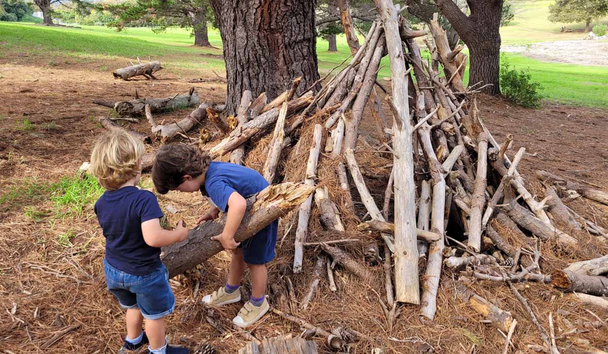 Explorify at home: Learning outdoors - living things