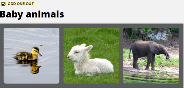 Case study 2: Introducing the concept behind Odd One Out activities ...