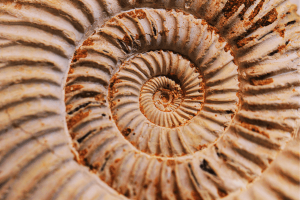 | Resource Collection