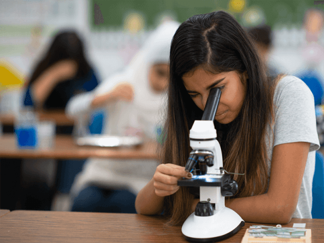 STEM resources for secondary classroom