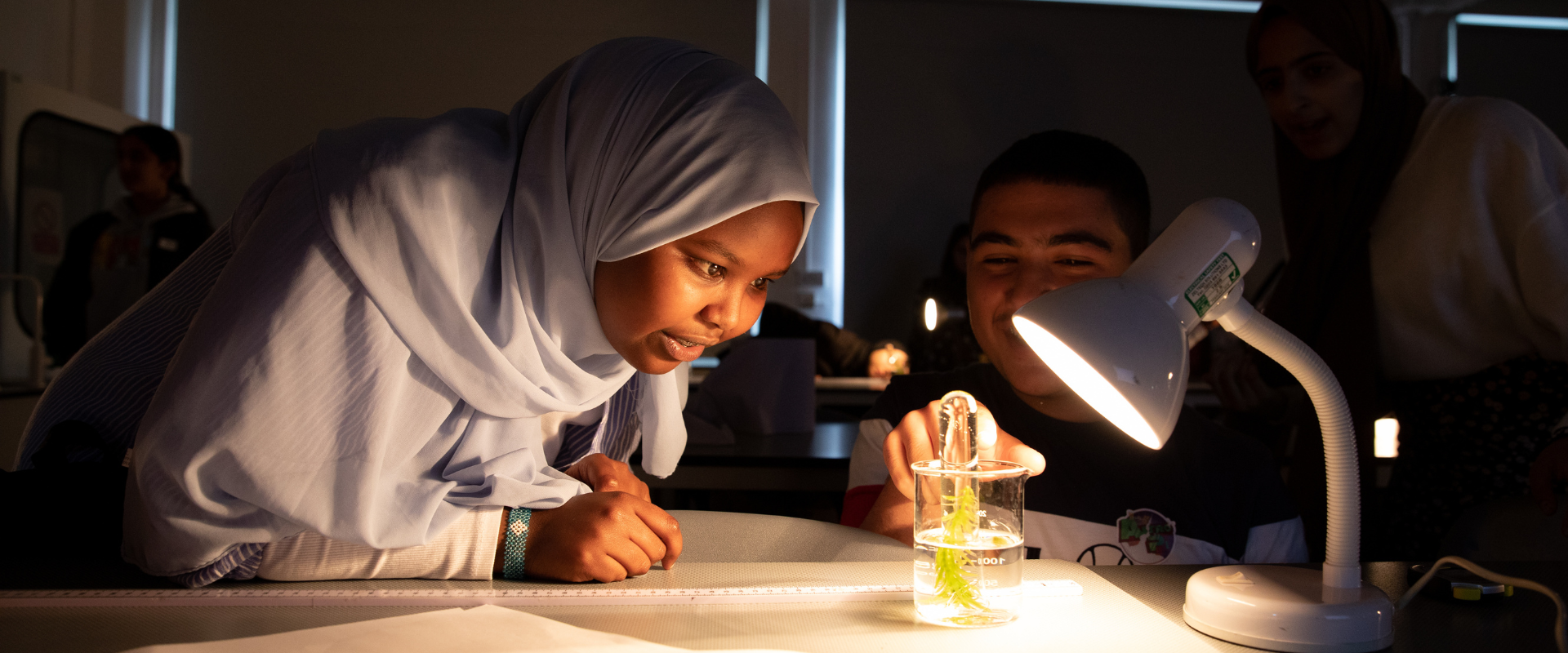 Teaching practical science - why 'getting your hands dirty' is crucial
