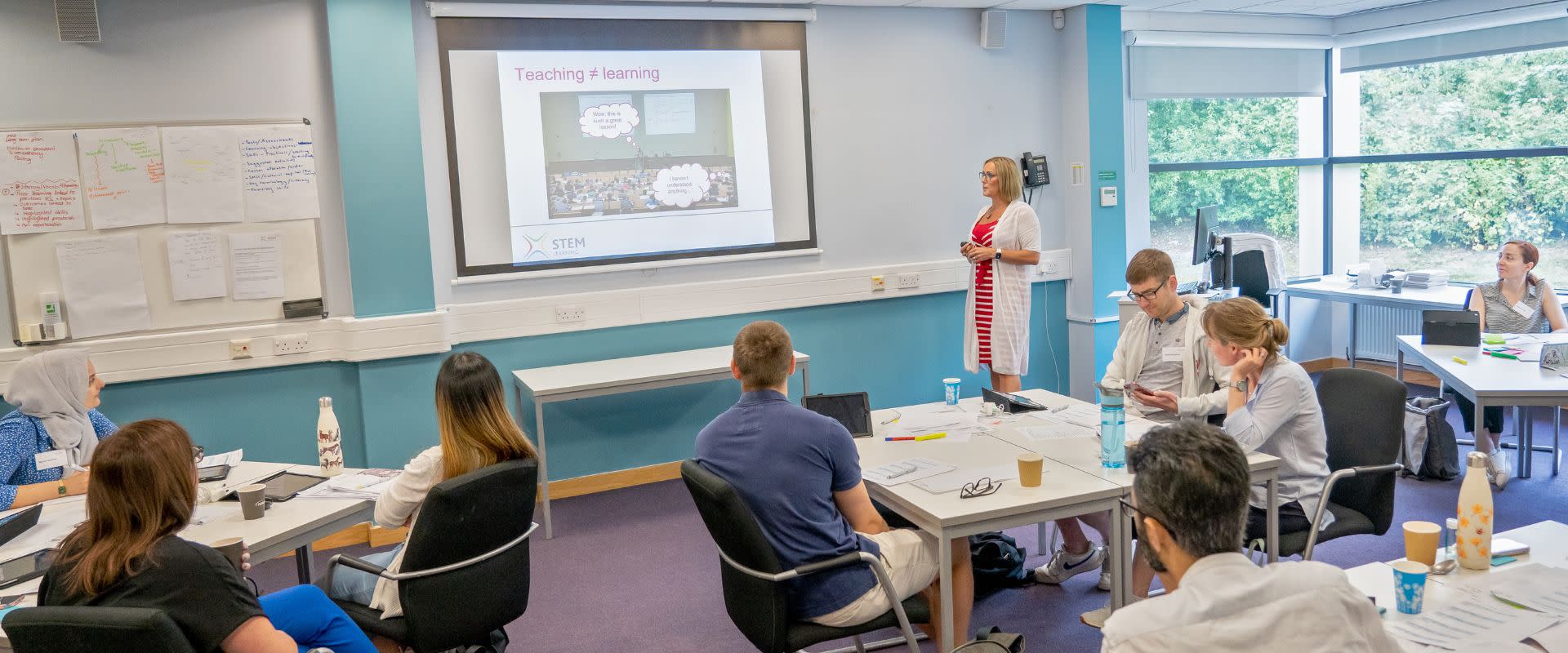 STEM Magazine article: maximising the classroom impact of continuing ...