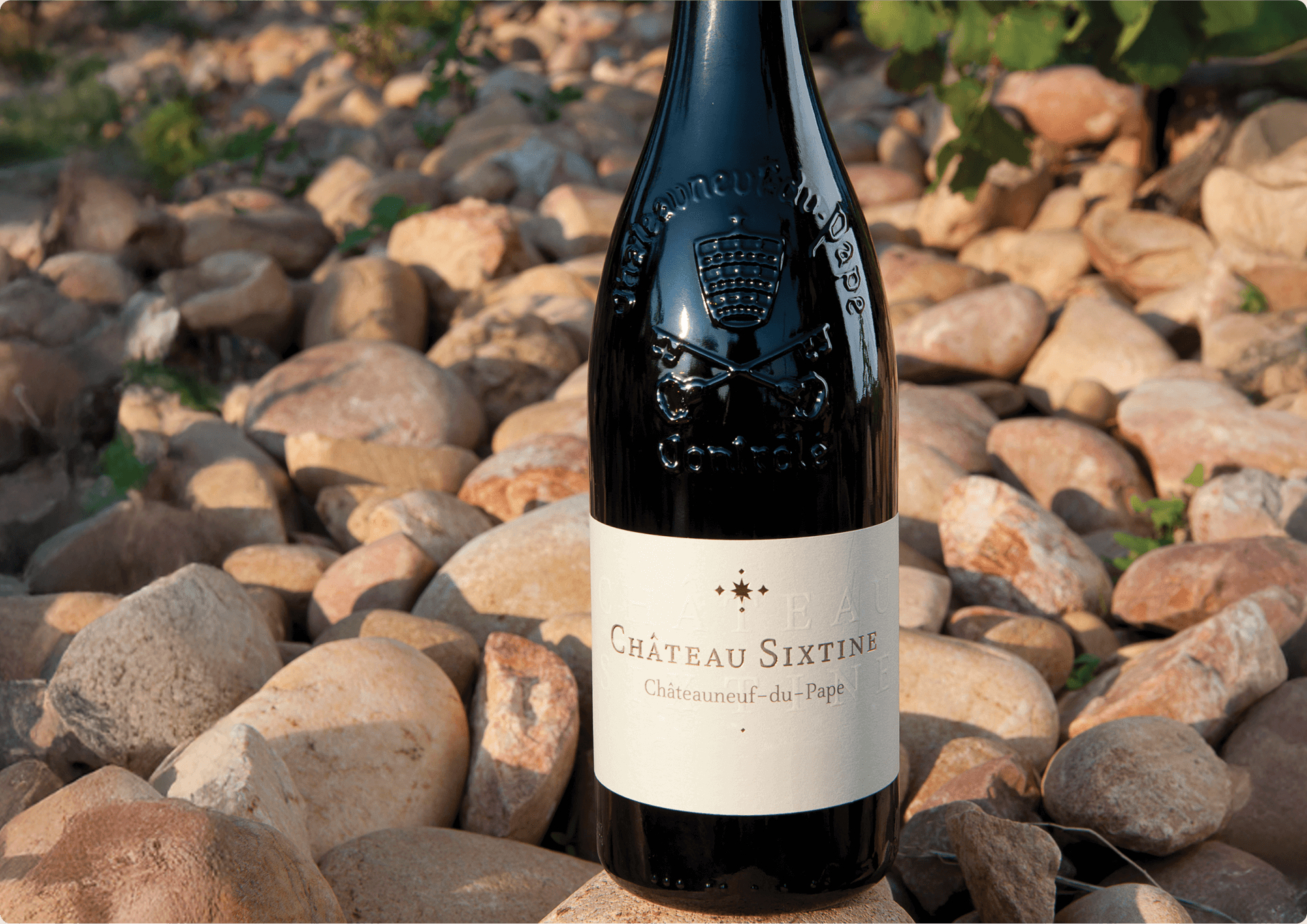 Wine Online | Shop Best Wine Deals | Laithwaites