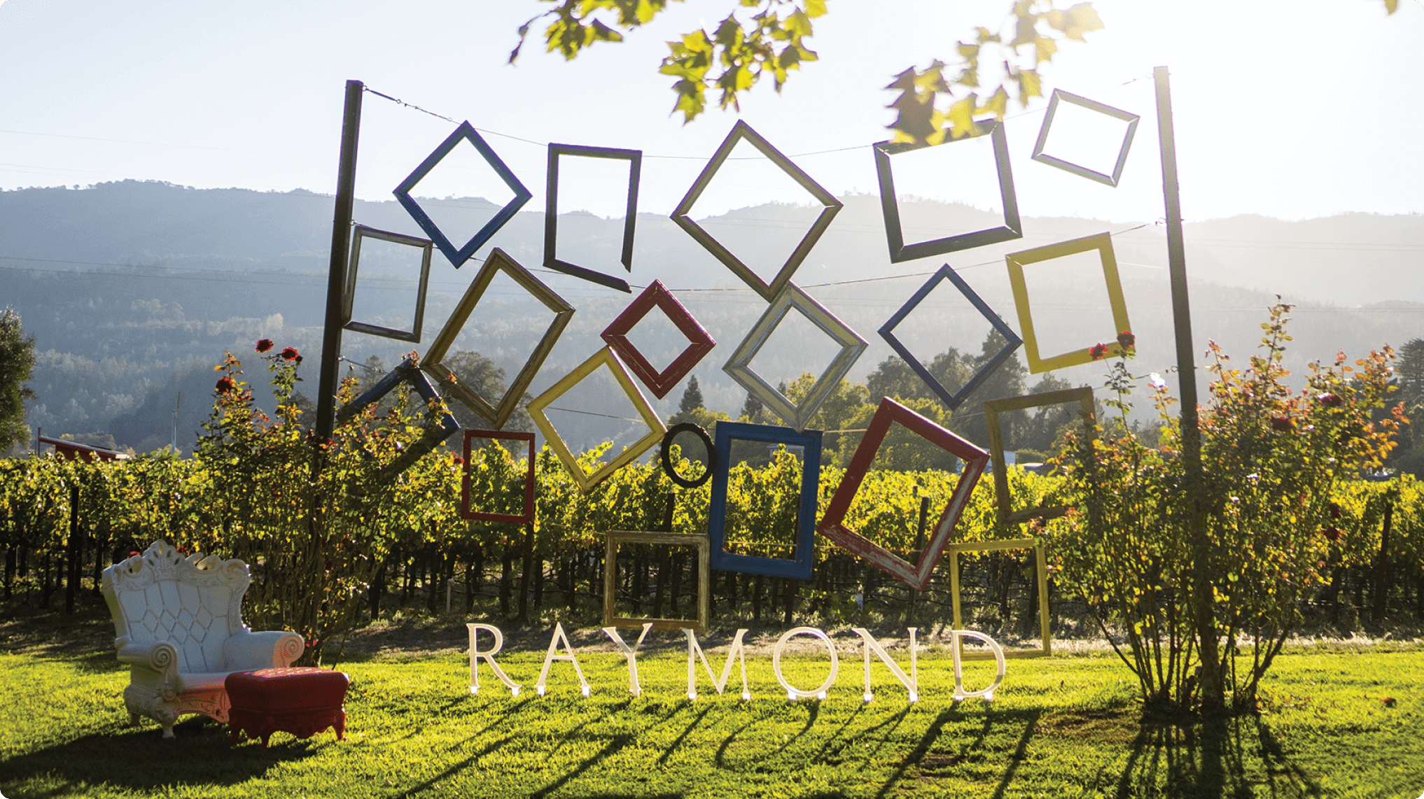 Vineyard Partners | Exclusive Wines from Top Wineries | Laithwaites Wine