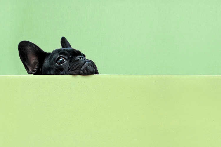 4 Simple Phrases That Build a Culture of Curiosity in Your Classroom ...