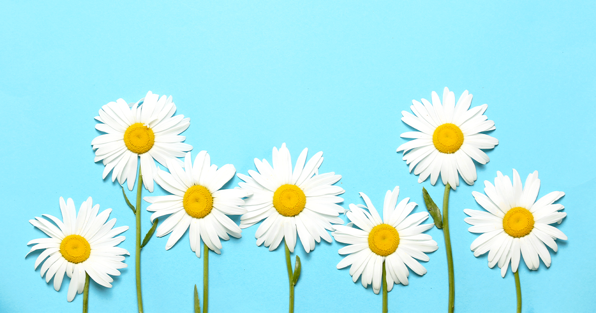 Why Early Positivity Matters in the Classroom | Harvard Business Impact ...