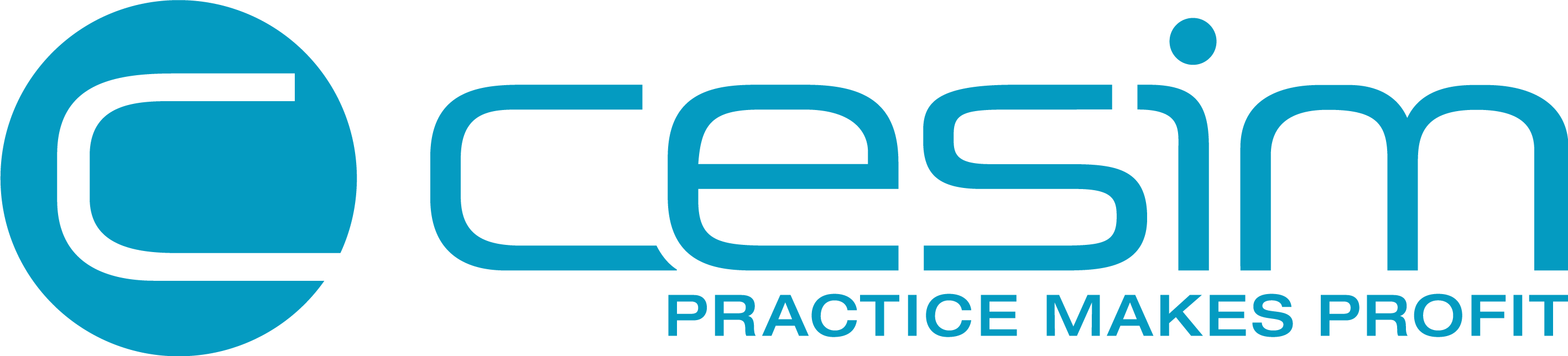 Cesim Global Challenge: Strategy & International Business Simulation ...