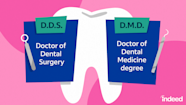 Difference Between DDS And DMD Degrees In Dentistry 172 NYC 60 OFF Difference Between DDS And DMD Degrees In Dentistry 172 NYC 60 OFF