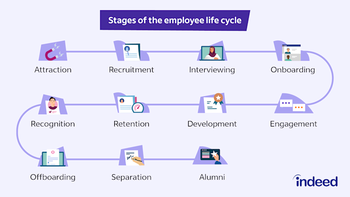 What Is The Employee Life Cycle? (Advantages and Stages) | Indeed.com India