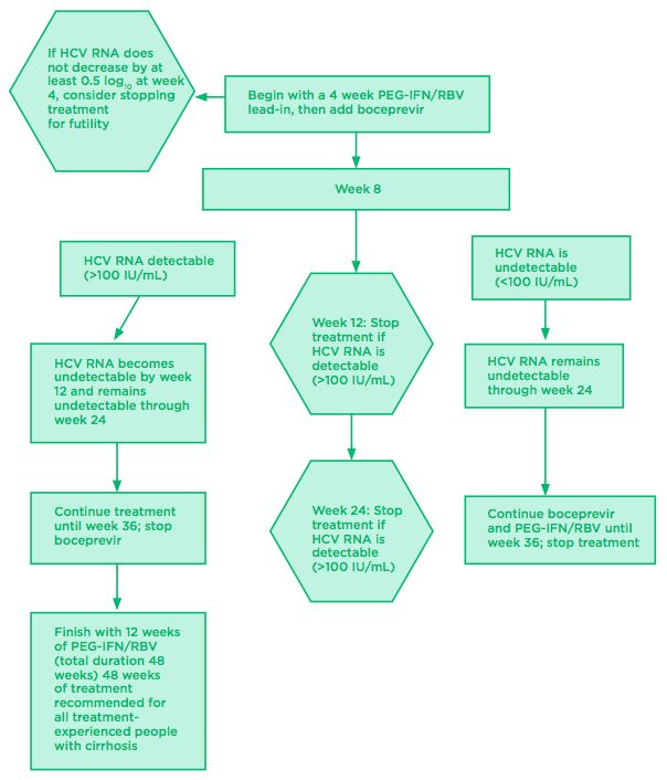 The Hepatitis C Treatment Pipeline
