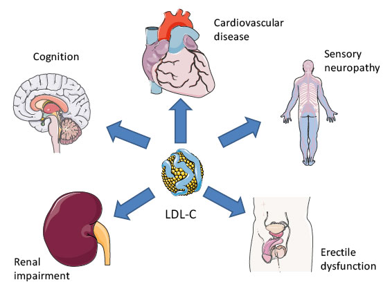 Lipid Impact on HIV Heart Disease and Antiretroviral Impact on Lipids