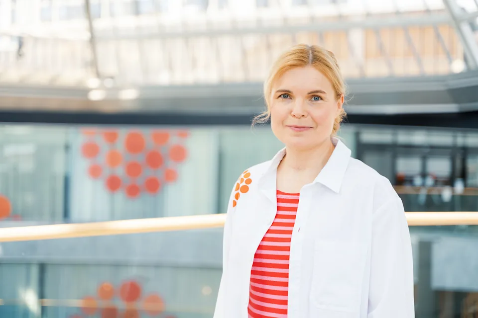 TT-kuvaus | Pihlajalinna