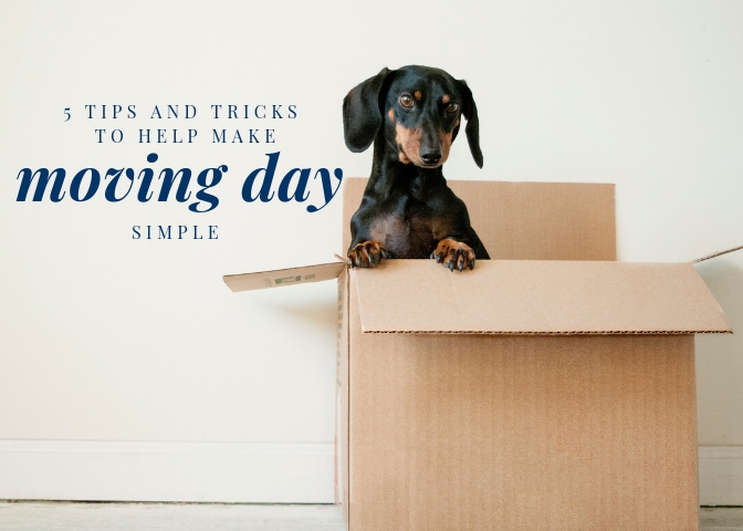 5 Tips and Tricks to Help Make Moving Day Simple | camdenliving.com ...