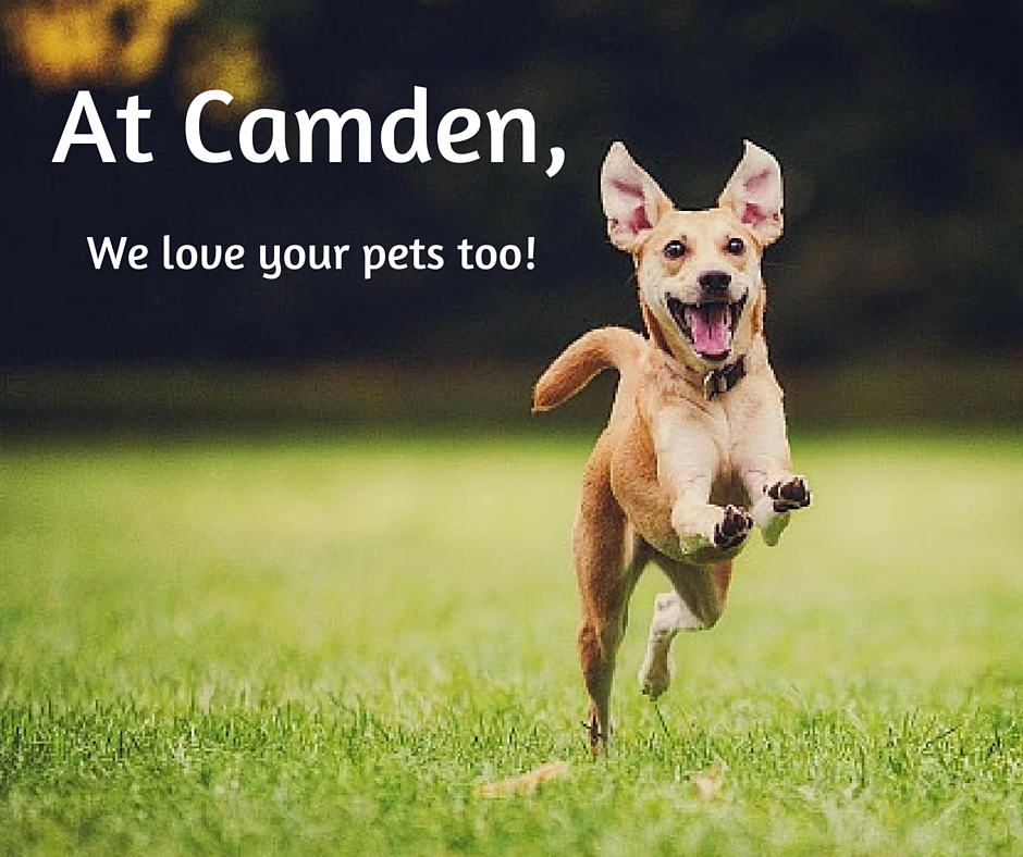 At Camden, we love your pets too! | camdenliving.com | Guest Blogger