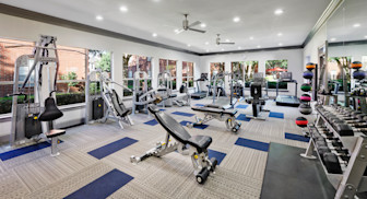 1 & 2 Bedroom Apartments in Addison, TX - Camden Addison