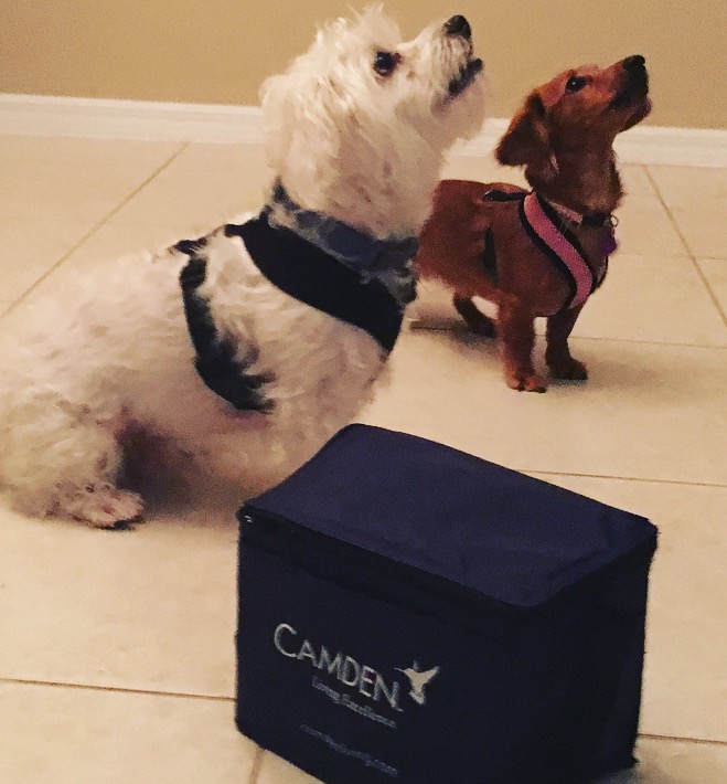 Why do I choose to work at Camden? | camdenliving.com | Guest Blogger