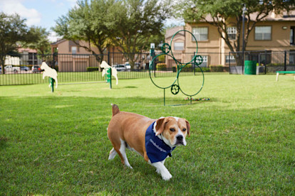 Apartments for Rent in Plano, TX - Camden Legacy Creek