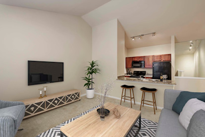 Apartments for Rent in Austin, TX - Camden Shadow Brook