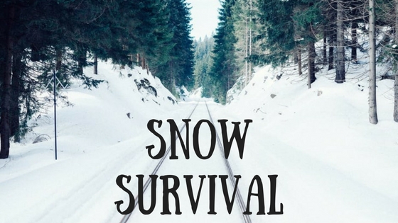 Snow Survival | camdenliving.com | Guest Blogger