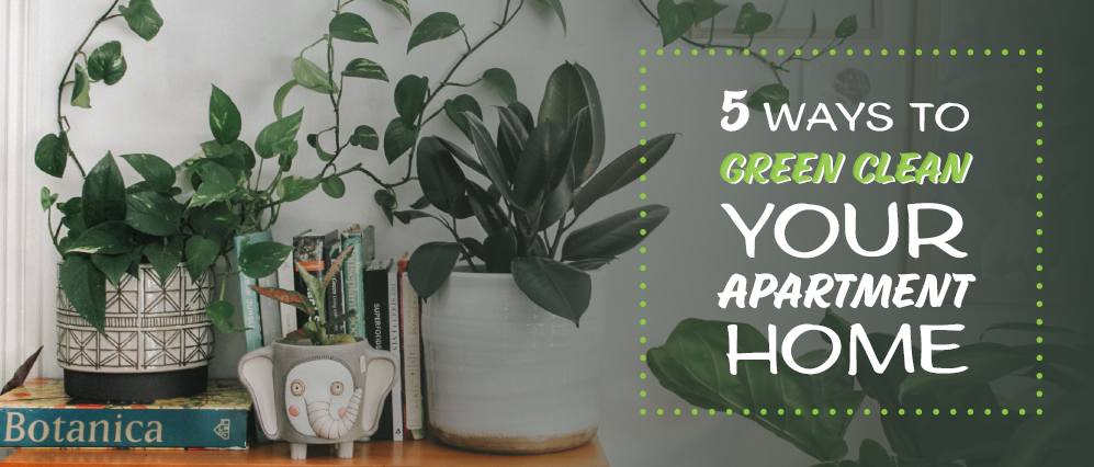 5 Ways to Green Clean Your Apartment Home | camdenliving.com | Rachel ...