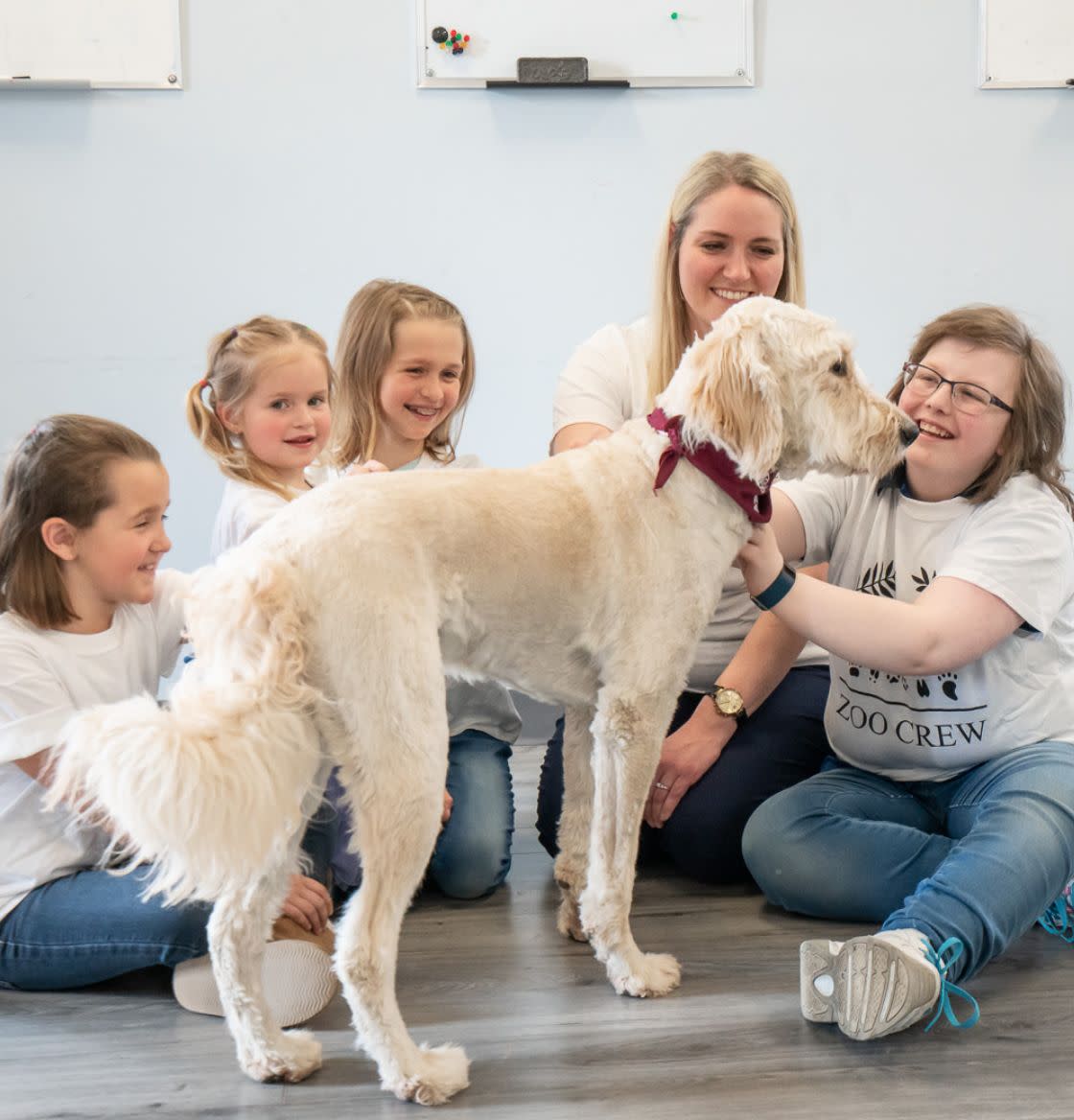 Humane Society Programs | Humane Society of Kitchener Waterloo ...