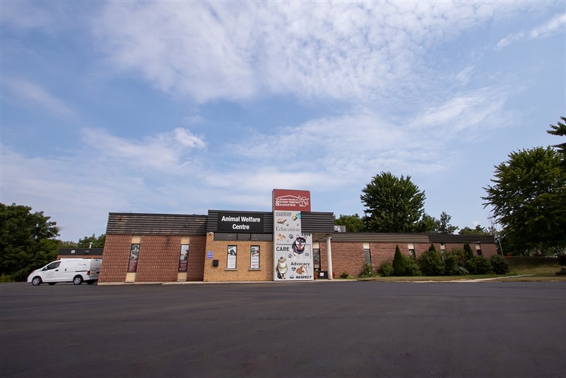 Centre Tours | The Humane Society of Kitchener Waterloo & Stratford Perth