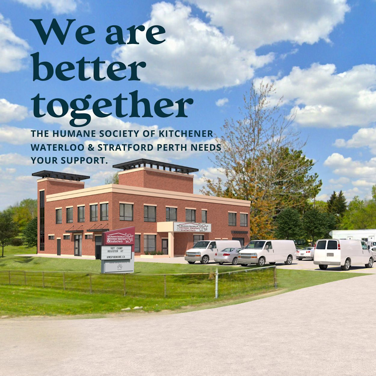 Cats | Humane Society of Kitchener Waterloo & Stratford Perth