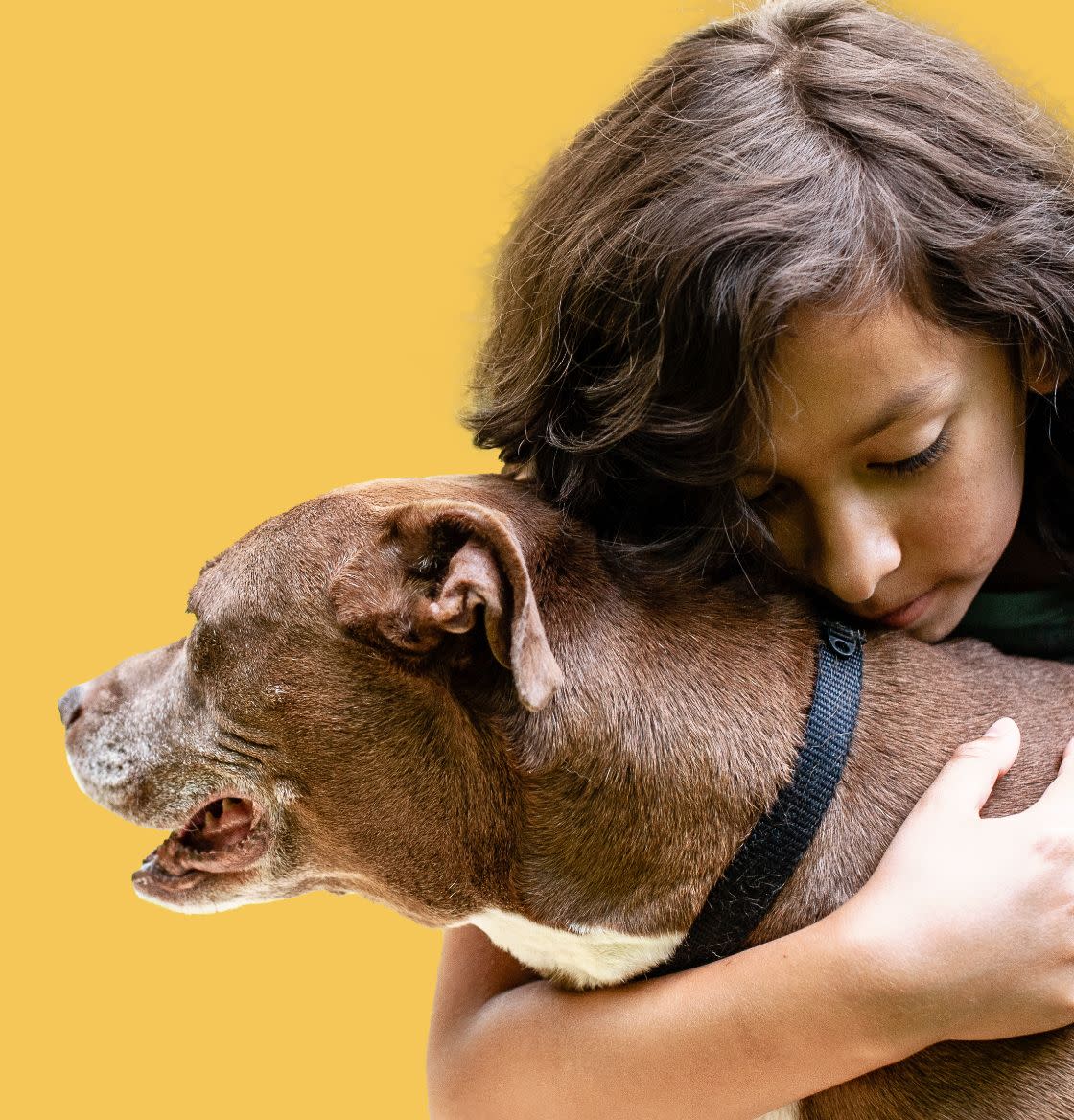 Donate to the Humane Society | Humane Society of Kitchener Waterloo ...