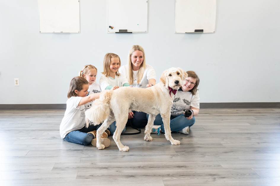 School Visit | The Humane Society of Kitchener Waterloo & Stratford Perth