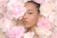 DIOR Expertise