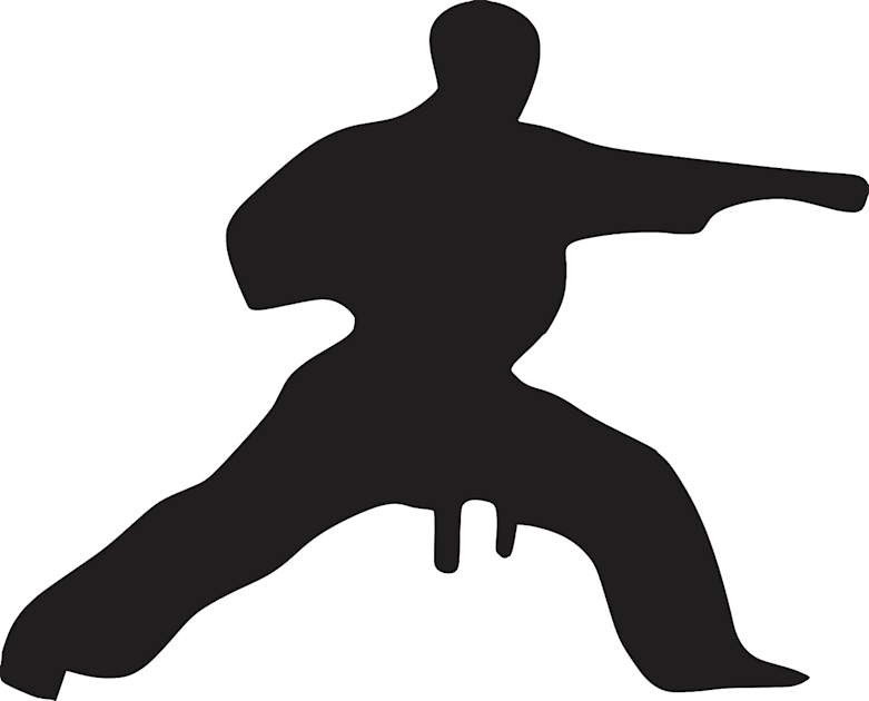 Karate: A Multi-Purpose Testing Framework