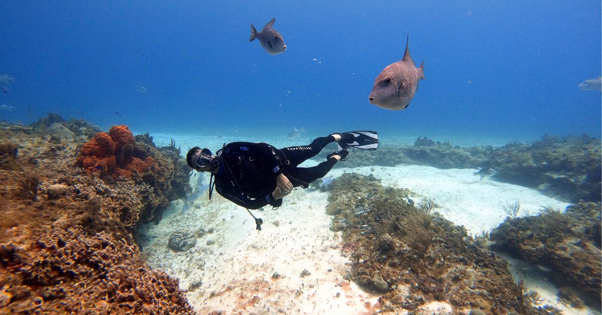 12 Best Scuba Diving Centers in Sanur, Bali - Cinchy Blog