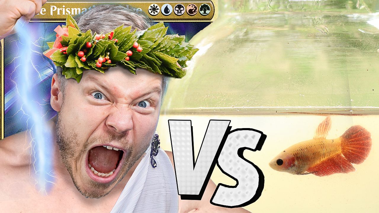 Random Creature Type Commander with Ashlizzlle | Cardmarket