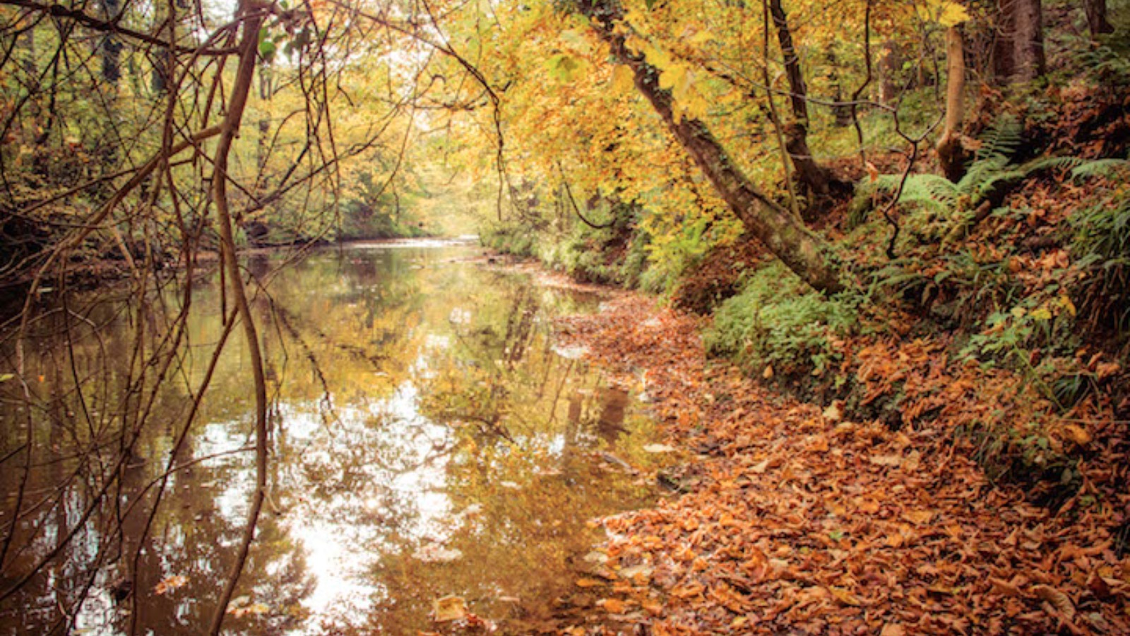 Weather: More mixed weather ahead | ITV News Tyne Tees