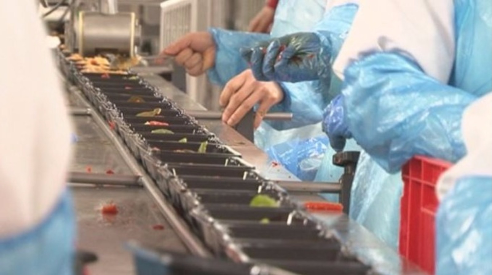 100 jobs to be created at food factory on Deeside | ITV News Wales