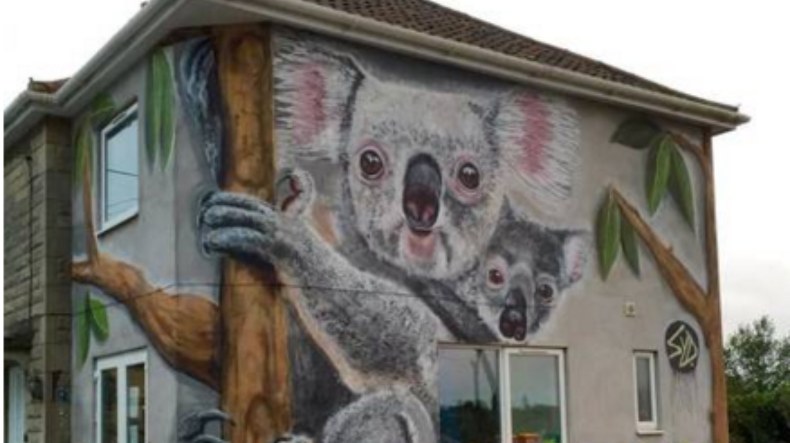 Endangered: the huge koala mural on nursery wall after complaint made ...