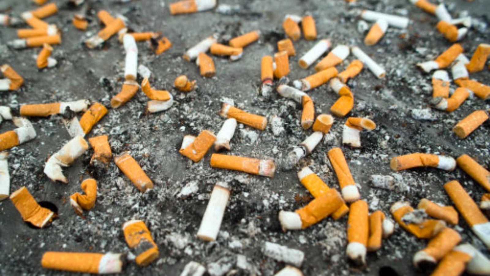 Smoking litter 'on the rise' in Wales | ITV News Wales