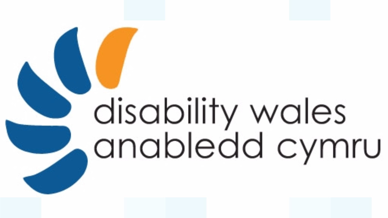 Disability Wales says it will lose almost 70 per cent of its funding ...