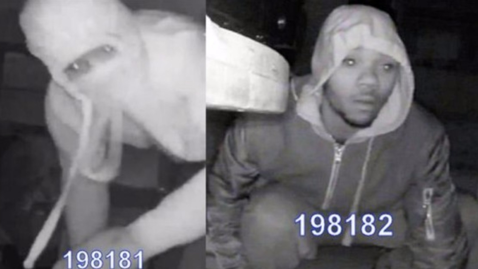 CCTV catches thieves ransacking home and stealing presents just days ...